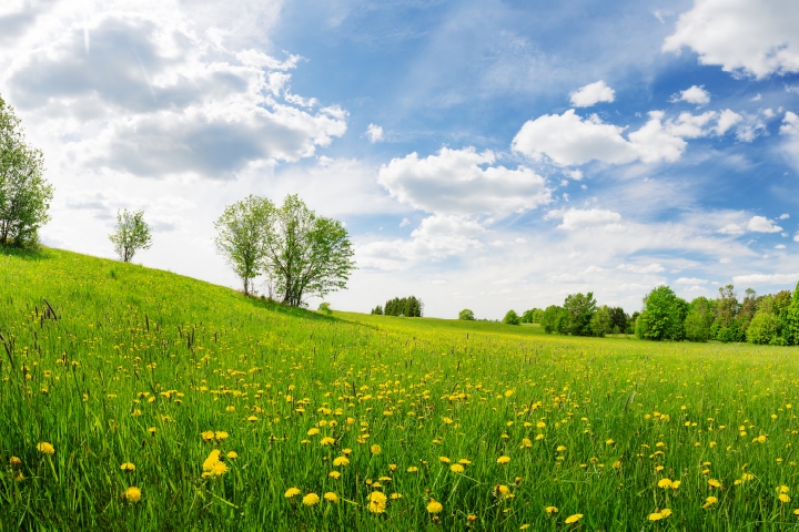 The New ERA: “Green” Constitutional Amendments are “a Wolf in Sheep’s ...