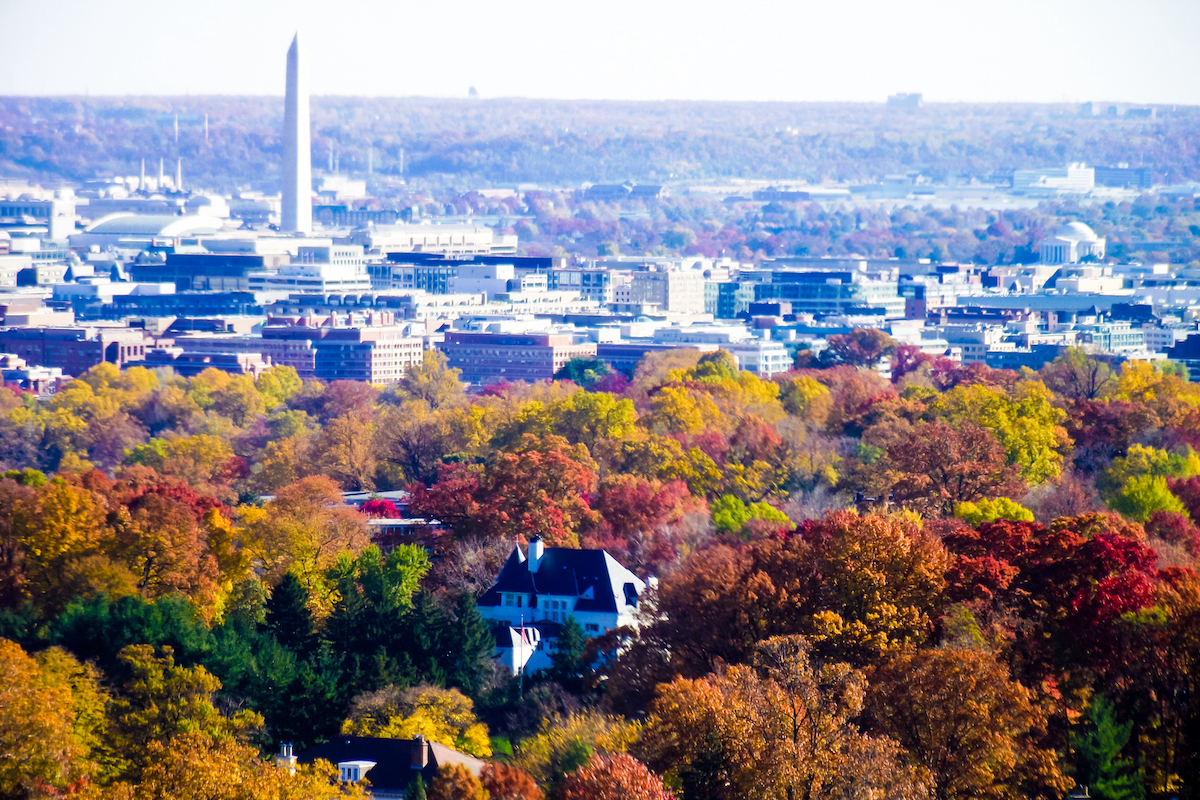 DC Home Prices Nosedive Since Trump Victory, DOGE Firings. 20M ...