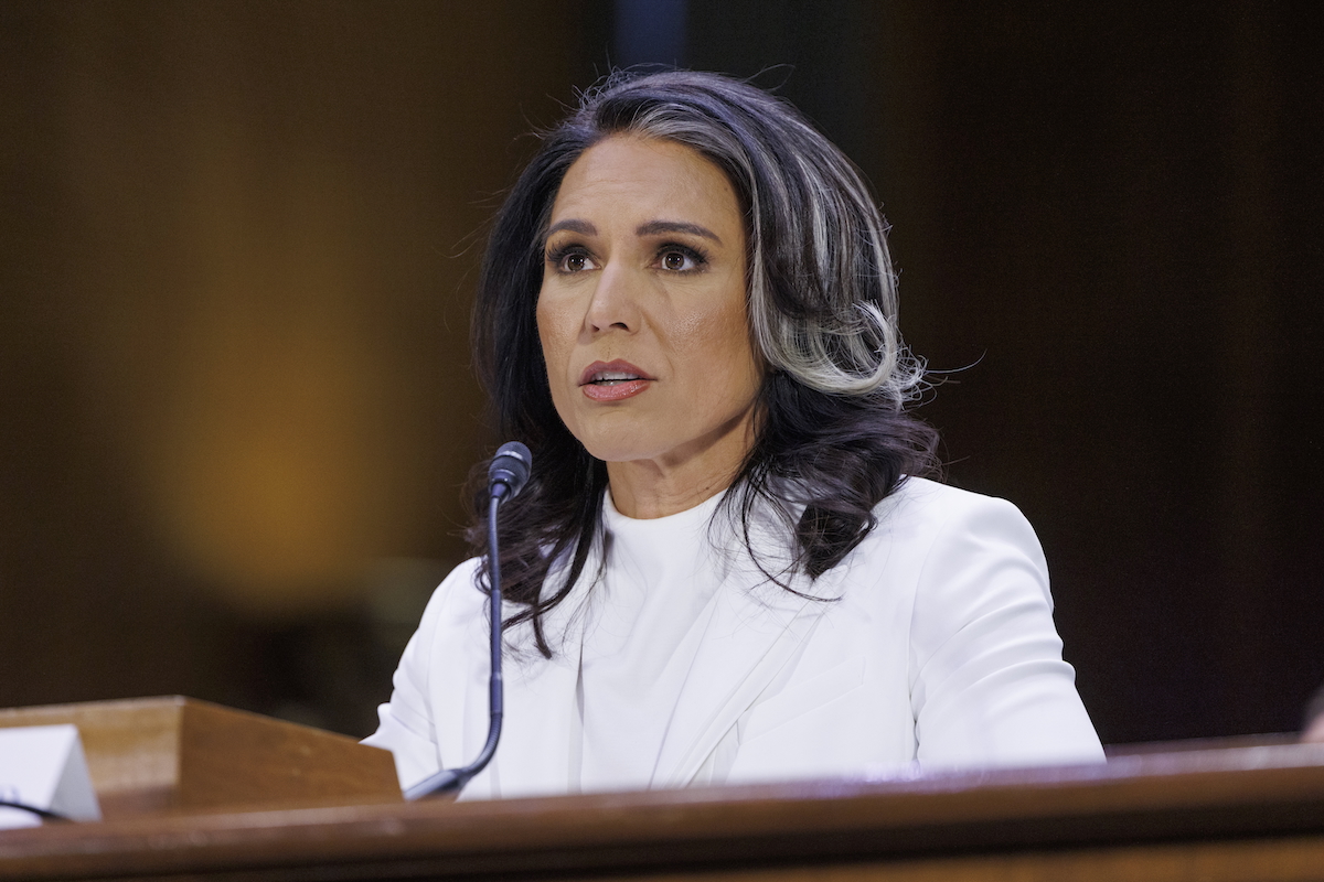 Tulsi Gabbard Confirmation Hearing Focuses on Snowden, FISA, and Russia ...
