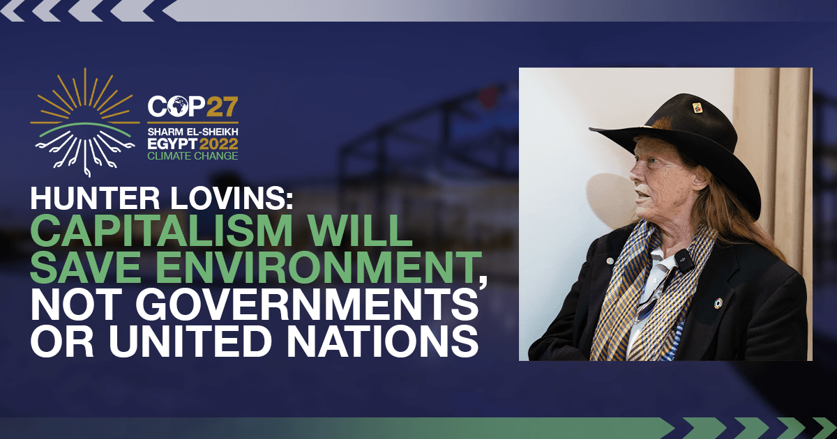 Capitalism Will Save Environment, Not Governments or UN: Hunter Lovins ...