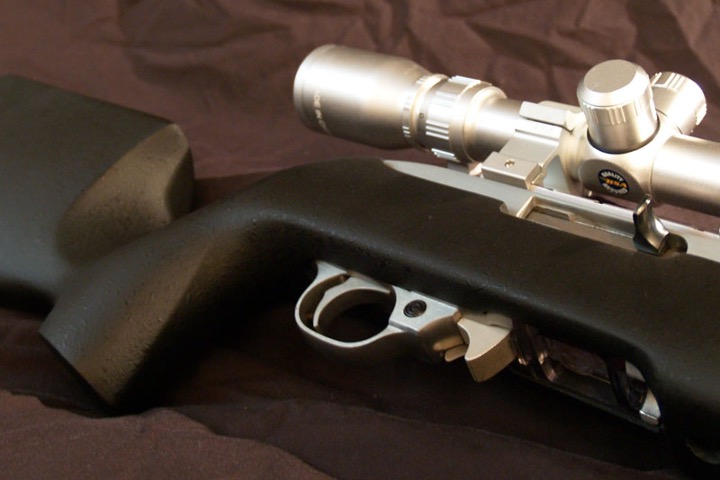 Illinois Supreme Court Upholds Assault Weapons Ban - The New American