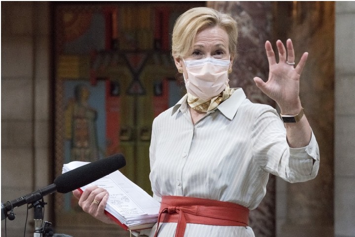 Birx, Caught Violating Her Own Thanksgiving Guidelines, Announces ...