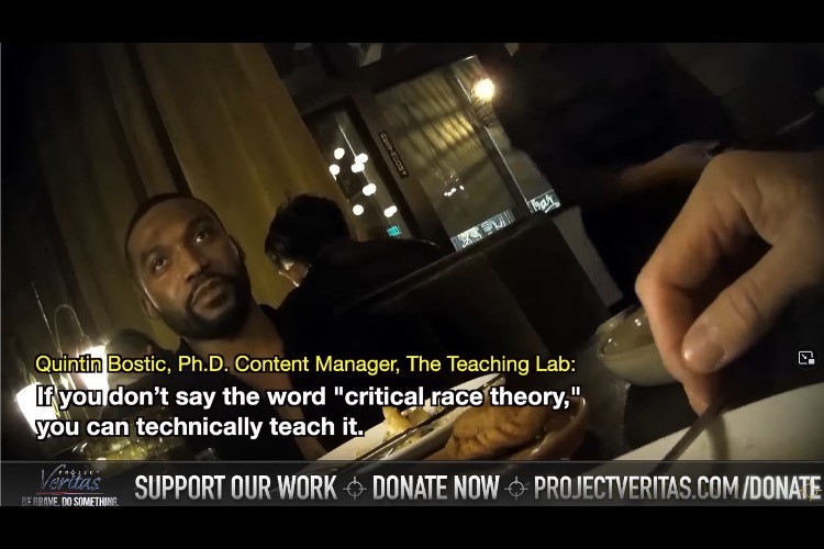 CRT Curriculum Allegedly Being Sold to Georgia Schools as DEI - The New ...