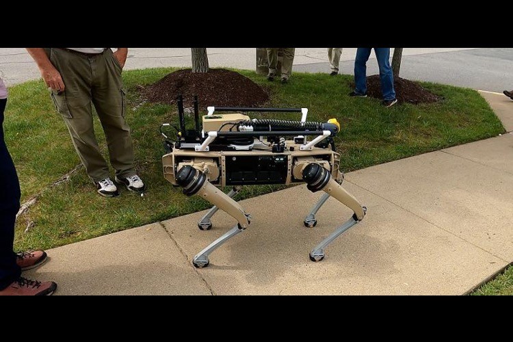 “Paw Patrol”: DHS Testing Robot Dogs to Guard Southern Border - The New ...