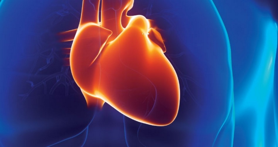 Food Fallacies - The New American