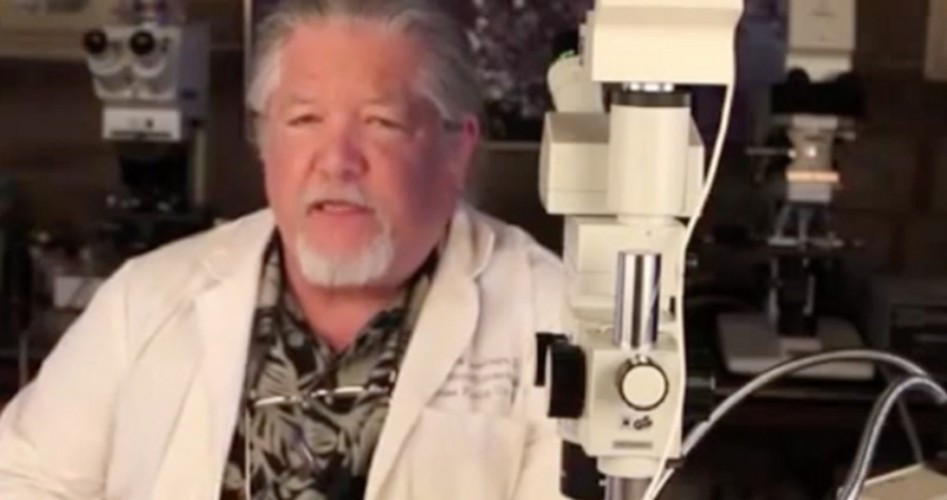 University Fires Scientist After Dinosaur Discovery Challenges ...