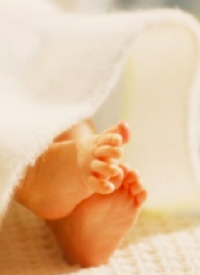 New Pro-Life Amendment Drive Launched in Colorado - The New American